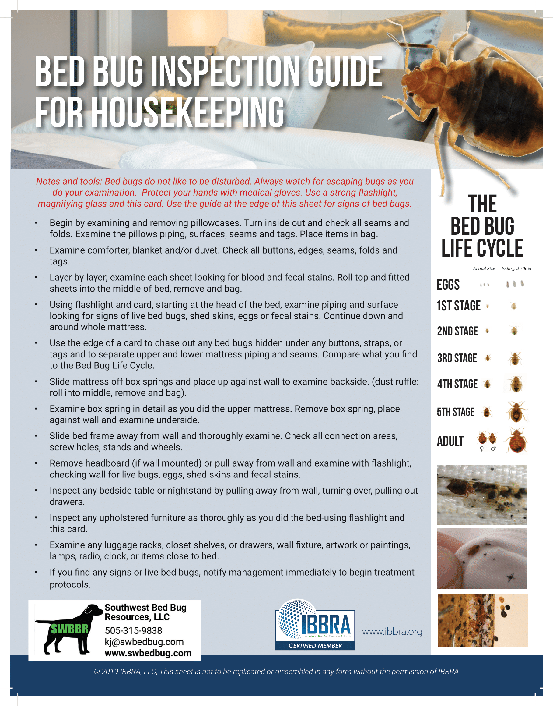 Bed Bug Information South West Pest Control South West Bed Bug Resources